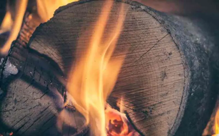 Quel est le meilleur et très puissant destructeur de souche ? - Maison ...