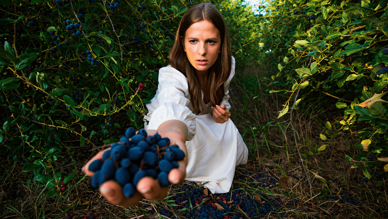 Comment cueillir la prunelle sauvage en toute sécurité et l'utiliser ...